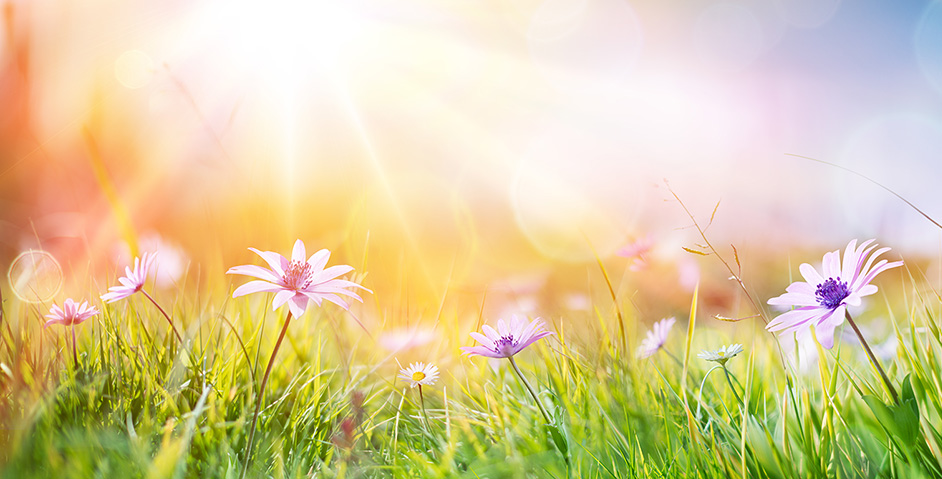 Monday, May 23 is a statutory holiday at the McGill University Health ...