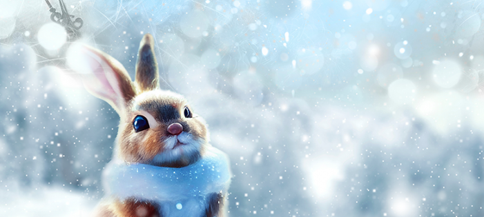 Happy Holidays to one and all! | McGill University Health Centre