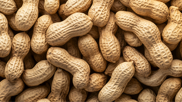 Low-Dose Peanut Oral Immunotherapy May Protect Children with Allergies ...