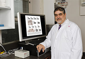 New MUHC research recommends further safety evaluation of DINCH ...