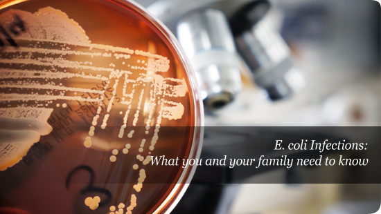 E. coli Infections: What you need to know | McGill University Health Centre